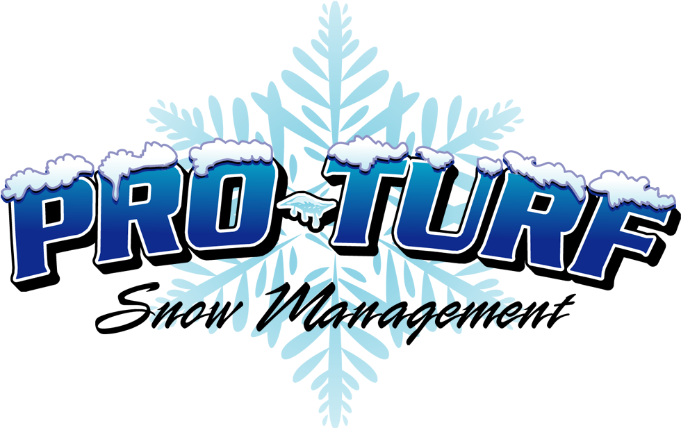 Download Logo- Snow - Graphic Design PNG Image with No Background ...