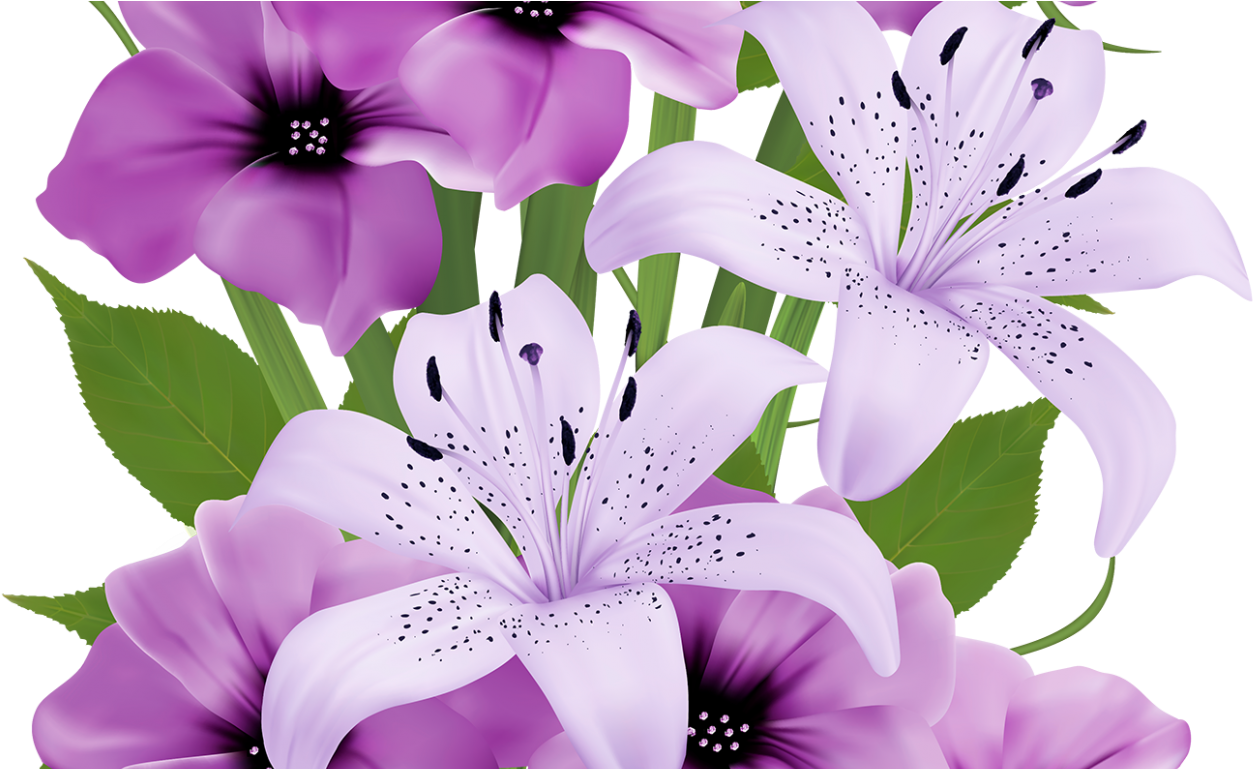 Download Beautiful Flower Hd Png PNG Image with No Background - PNGkey.com