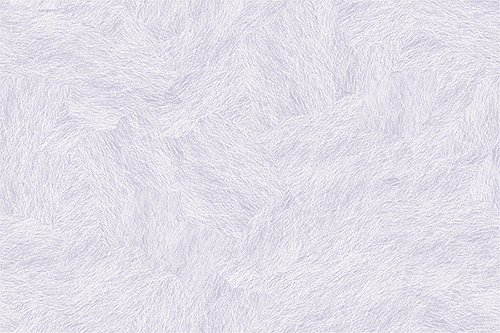 Download Fur PNG Image with No Background - PNGkey.com