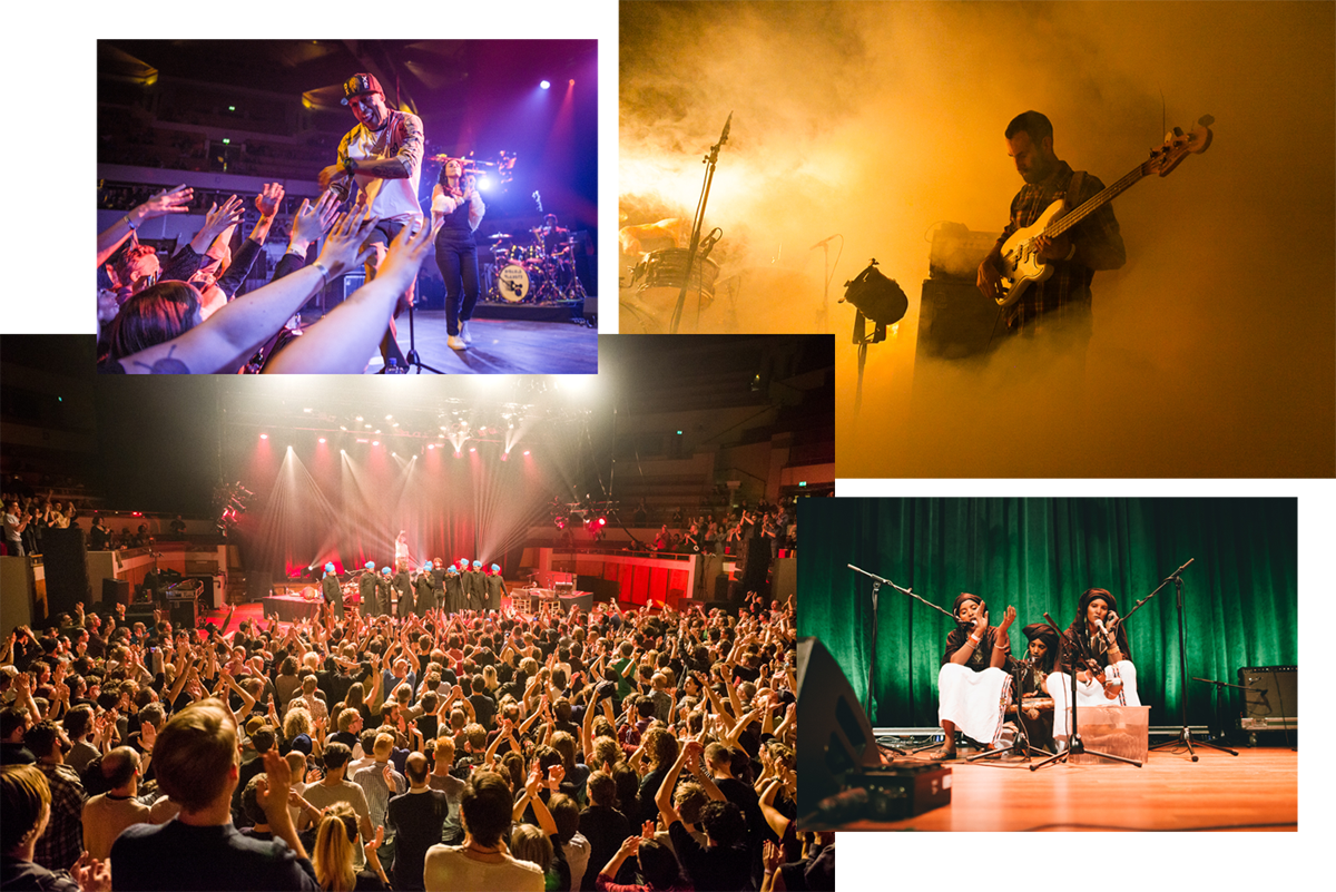 Download Relive Performances By Elza Soares, Julia Holter & - Junun PNG ...