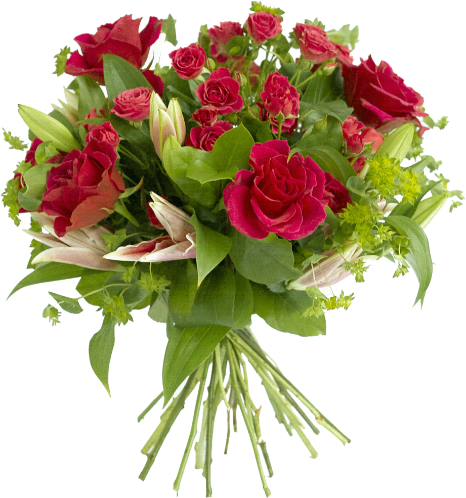 Download Imagen Rojas Im Genes PNG Image with No Background - PNGkey.com