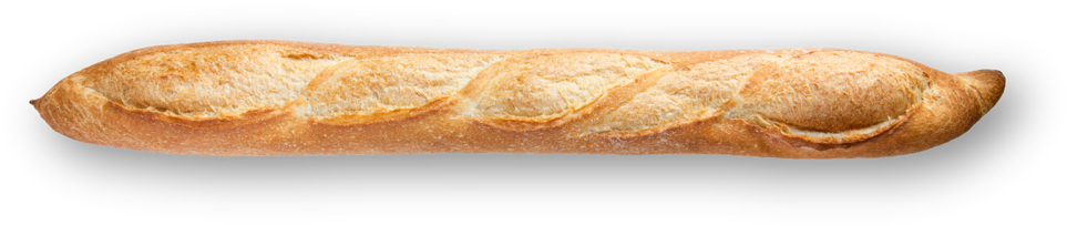 Download Fin French PNG Image with No Background - PNGkey.com