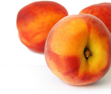 Download Peaches Png - Colorado State Fruit PNG Image with No ...