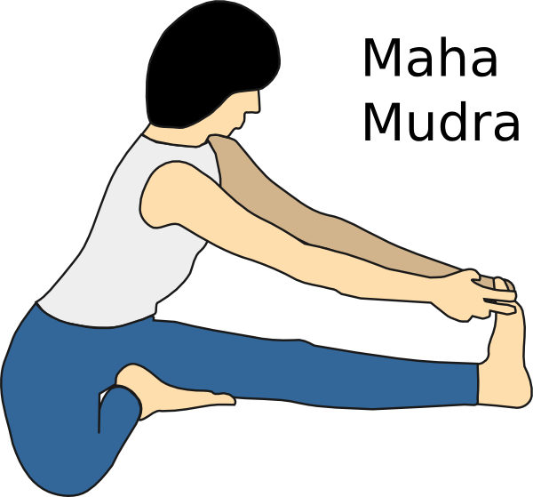 Hamstring Stretch Clip Art - Free Transparent PNG Download - PNGkey