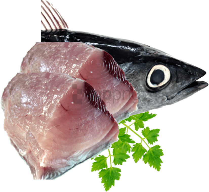 Download Free Png Fish Meat Png Png Image With Transparent Background ...