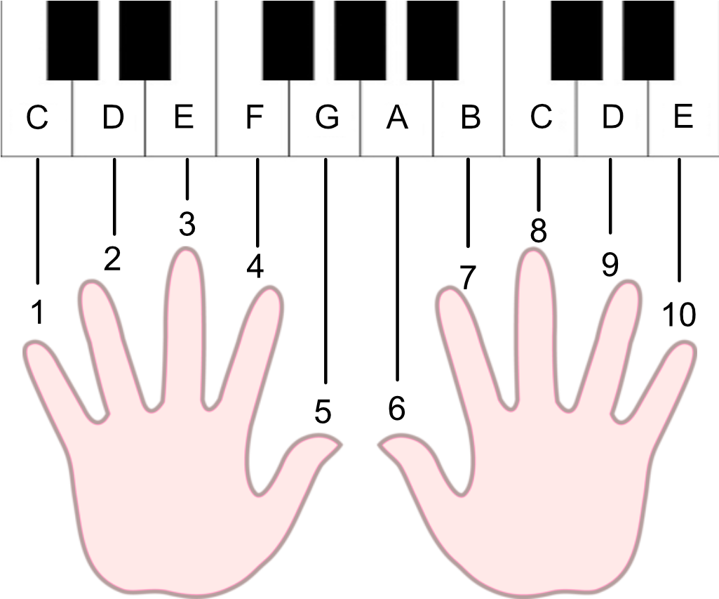 Download Musical Keyboard PNG Image with No Background - PNGkey.com