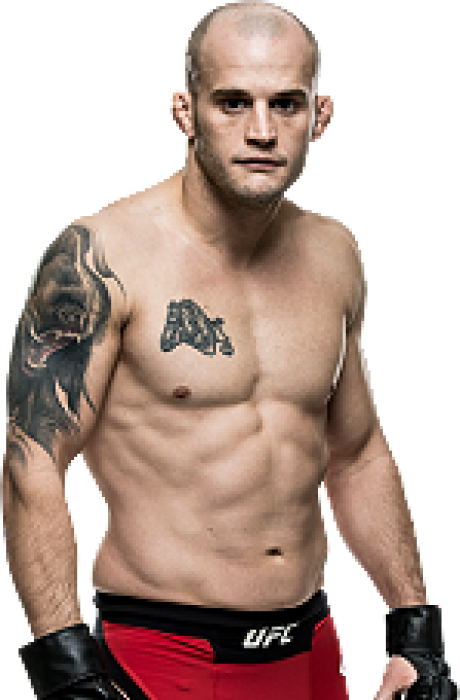 Download Biography - Tattoo PNG Image with No Background - PNGkey.com