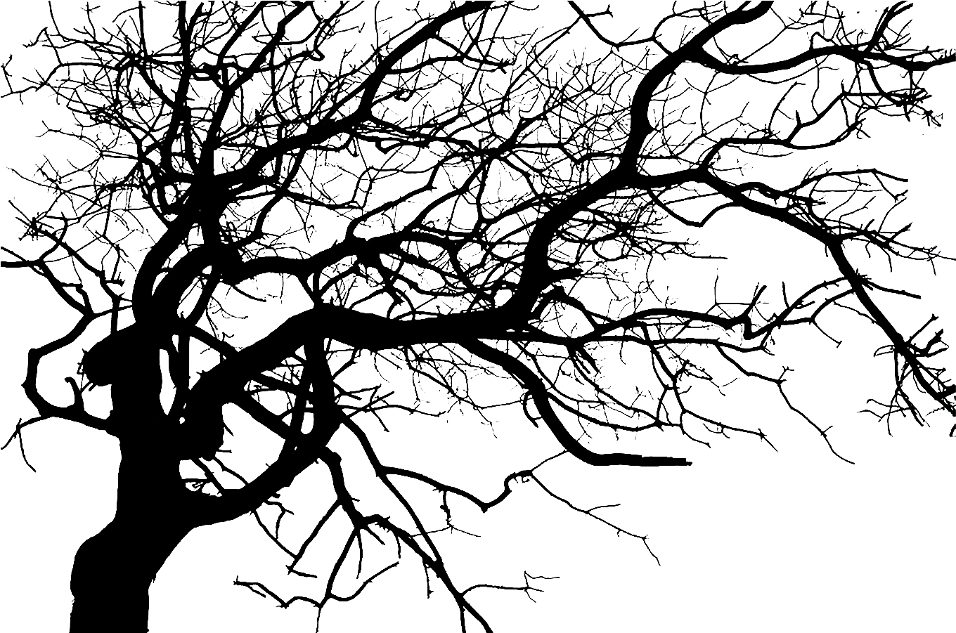 Download Clipart Resolution 1422*900 - Dark Tree Transparent PNG Image with No Background ...