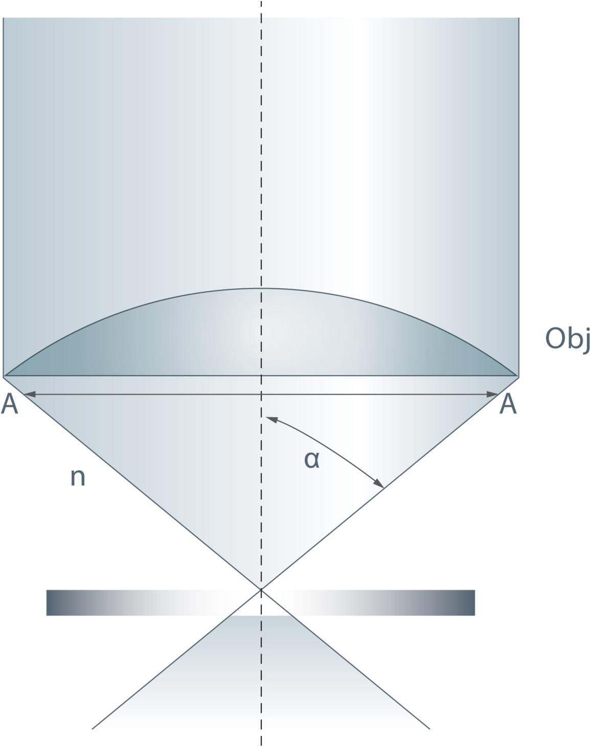 Download The Importance Of Numerical Aperture In Microscopy - Ceiling ...