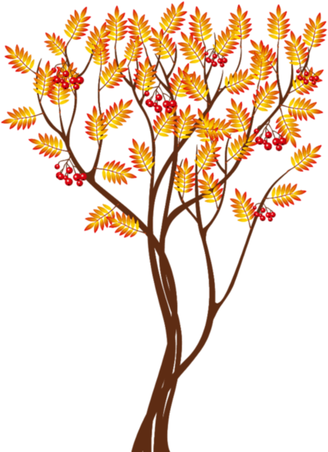 Transparent Autumn Tree Png Clipart Image - Fall Tree Clipart Png ...
