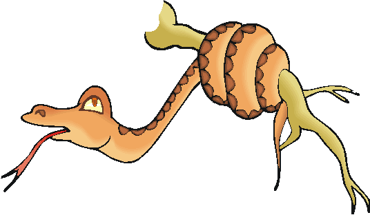 Download Brown Snake - Snakes PNG Image with No Background - PNGkey.com
