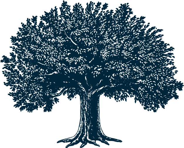 Download Tree Illustration - Guide To Christian Spiritual Formation ...