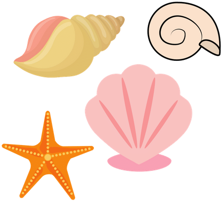 Sea Shells - 0shares - Vector Graphics - Free Transparent PNG Download ...