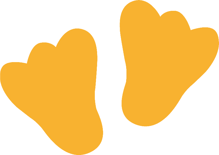 Download Duckfeet - Duck Feet Clipart PNG Image with No Background ...