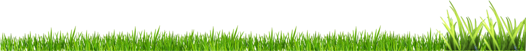 Download Grasses Green Pattern - Grass PNG Image with No Background ...