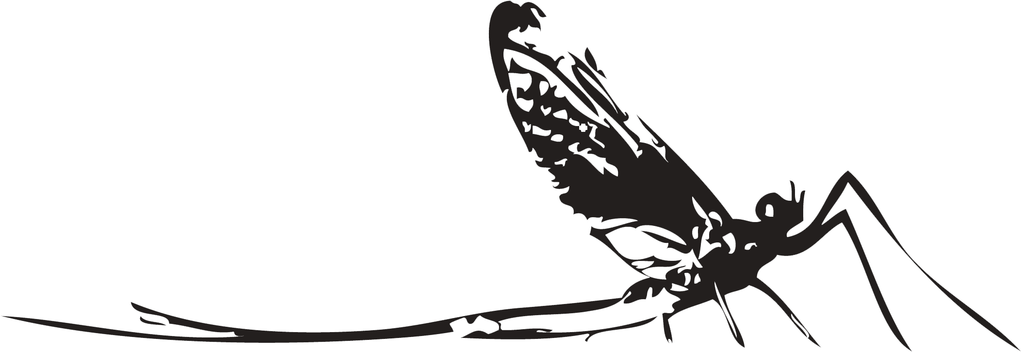 Download Caddis Fly Entomology Pt - Drawing PNG Image with No ...