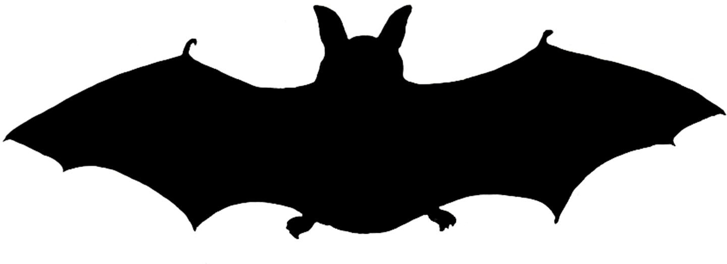 Halloween Bat Silhouette