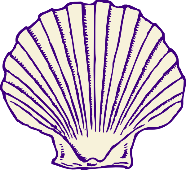 Small - Transparent Sea Shell Clip Art - Free Transparent PNG Download ...