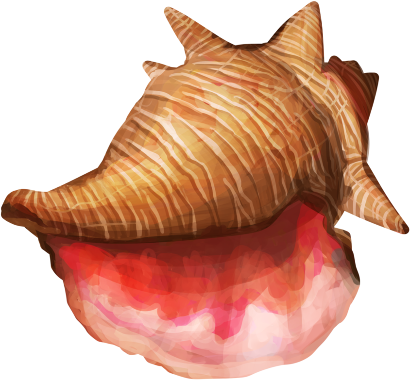 Download Conch Shell Png High-quality Image - Art PNG Image with No ...
