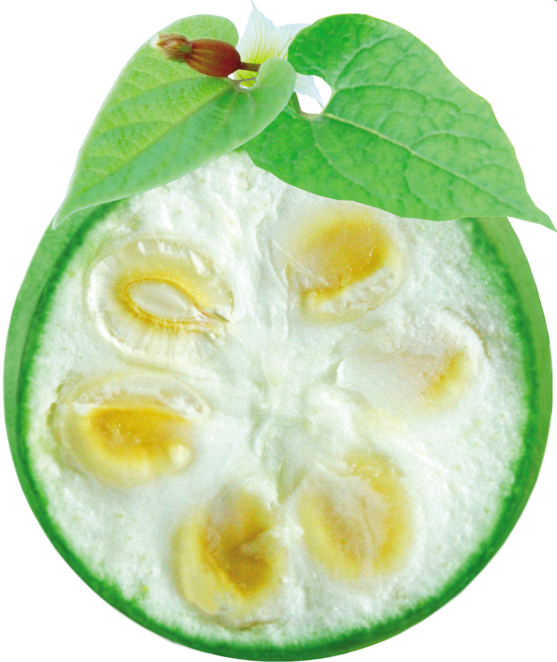 Download Monk Fruit PNG Image with No Background - PNGkey.com