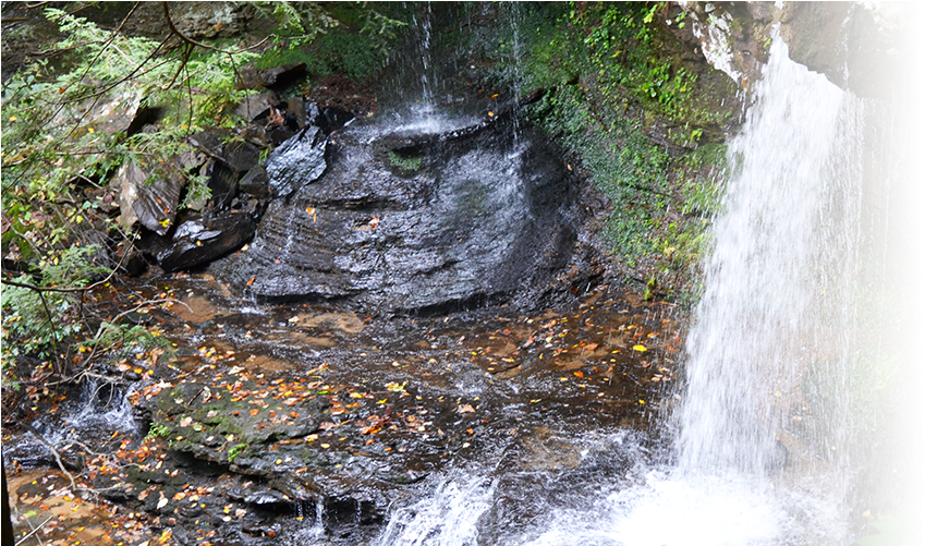 Download Home - Tributary PNG Image with No Background - PNGkey.com