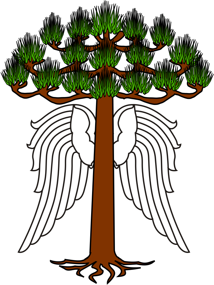 Open - Tree - Free Transparent PNG Download - PNGkey
