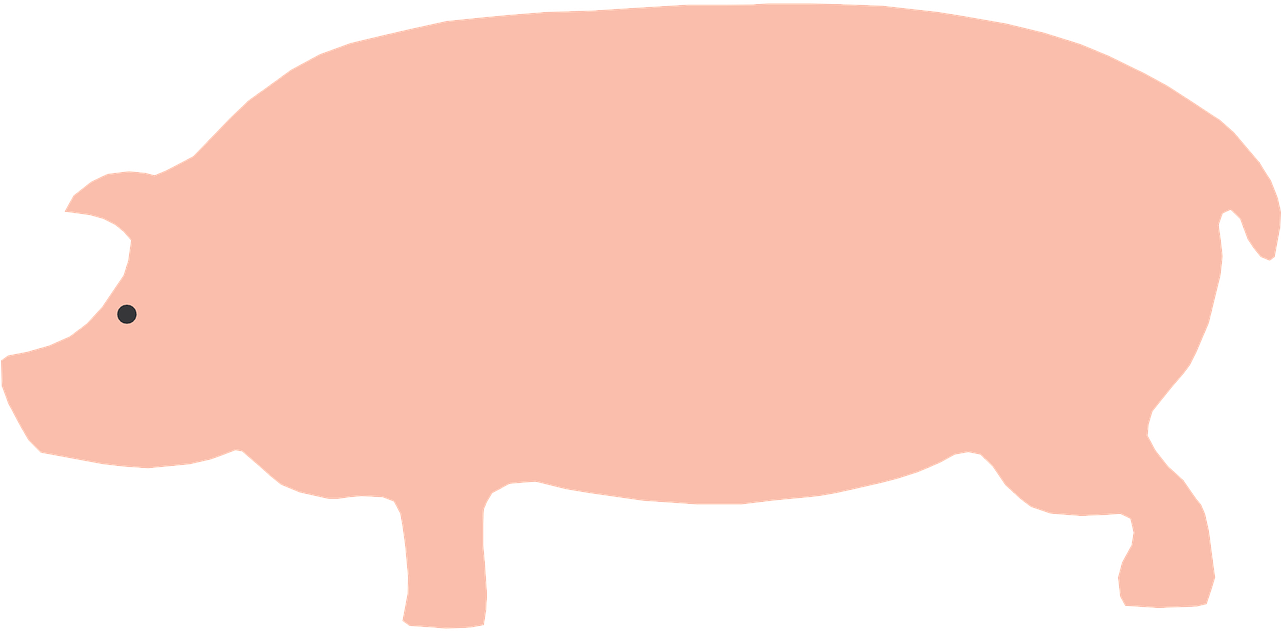 Pigs Drawing Side View - Cartoon Pig Side View - Free Transparent PNG ...