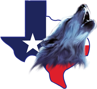 Texas Speed Cam Logo - Free Transparent PNG Download - PNGkey