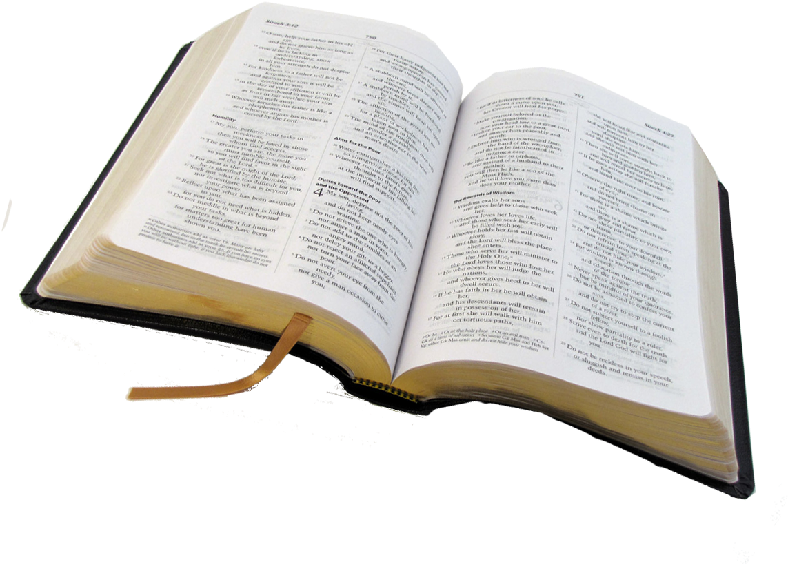 Ark Of Covenant Ministries - Bible - Free Transparent PNG Download - PNGkey