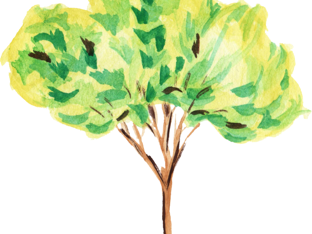 Water Color Clipart Tree - Tree Watercolour Clipart - Free Transparent ...