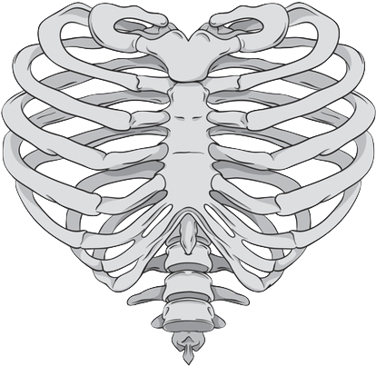 Via Tumblr Shared By Très Cool - Rib Cage Heart Drawing - Free ...