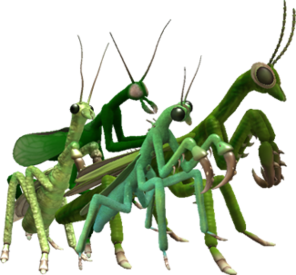 Spore Insect - Free Transparent PNG Download - PNGkey