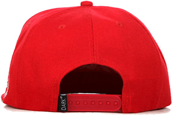 Png Transparent Library Snapback Transparent Blank - Backwards Baseball ...