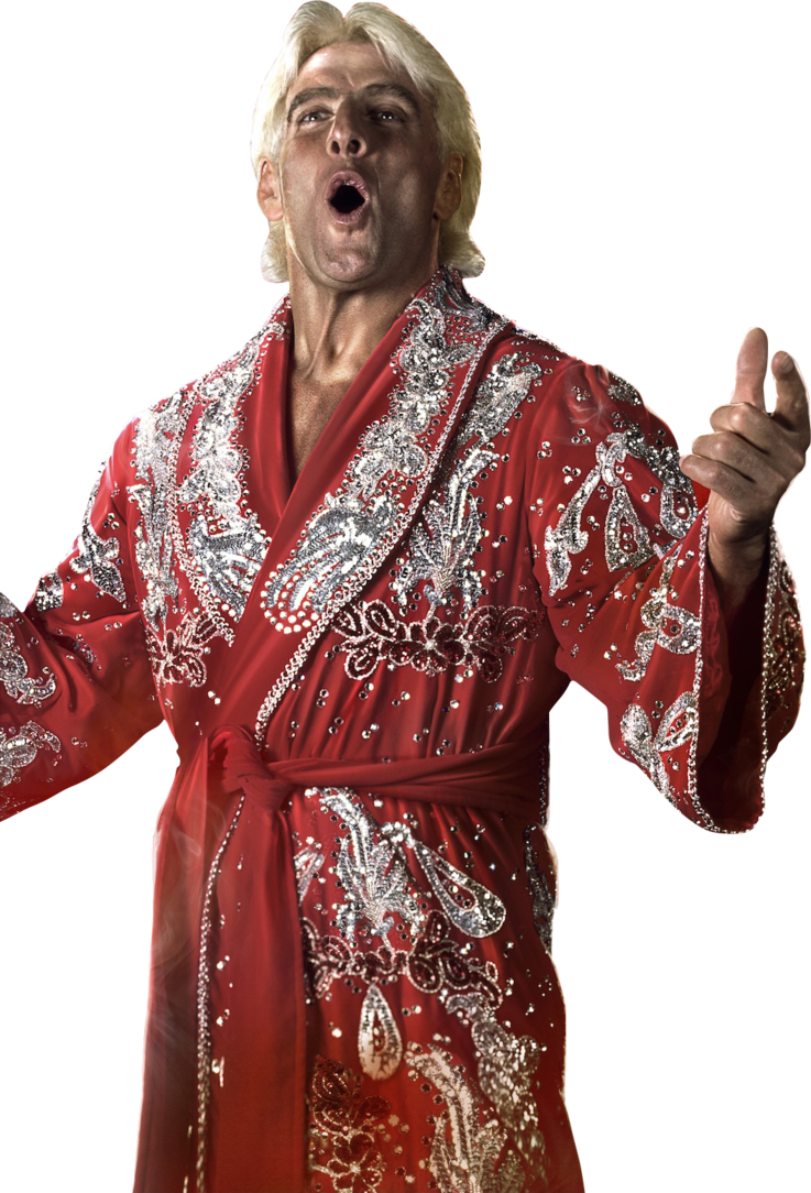 Download Ric Flair '92 PNG Image with No Background - PNGkey.com