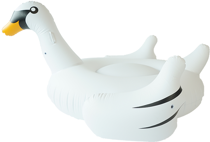 Download Sunfloats Inflatable White Swan Pool Floats - Duck PNG Image ...