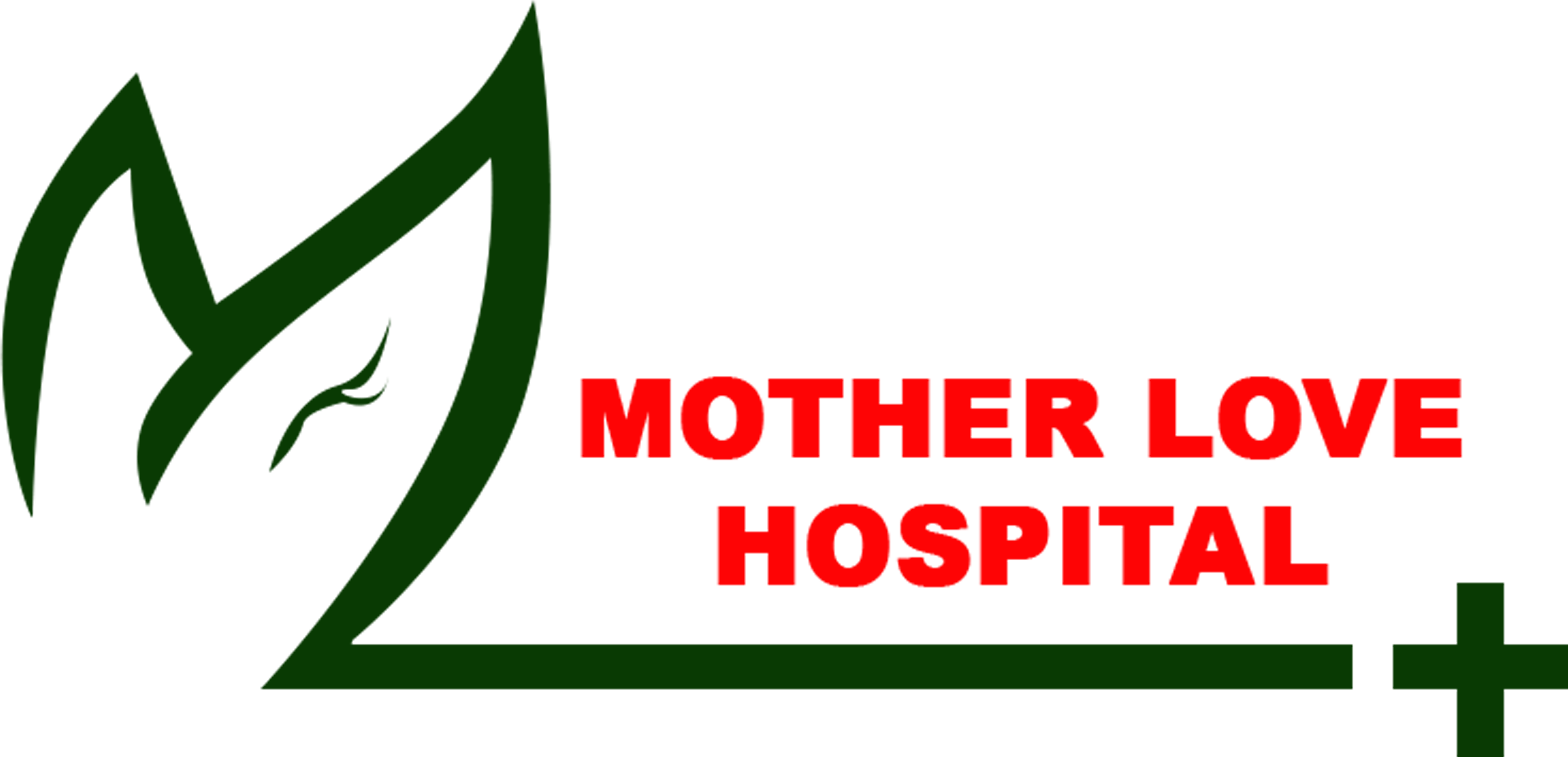 Download Hospital Logo Png - Graphic Design PNG Image with No ...