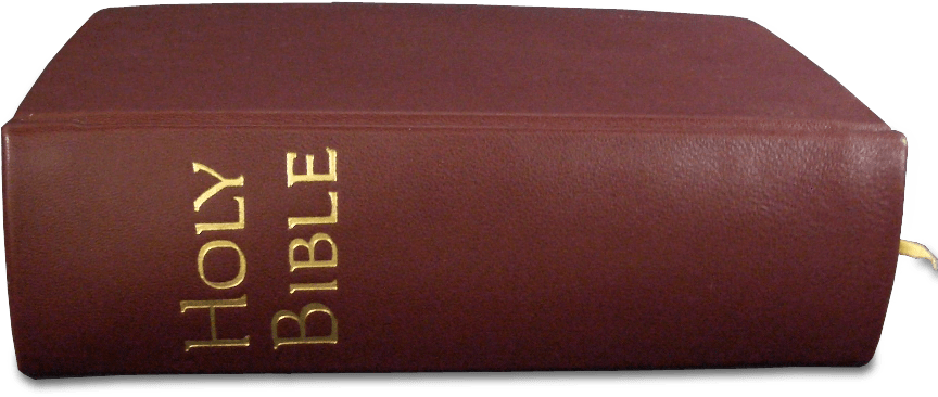 Download Download - Bible Side View PNG Image with No Background ...