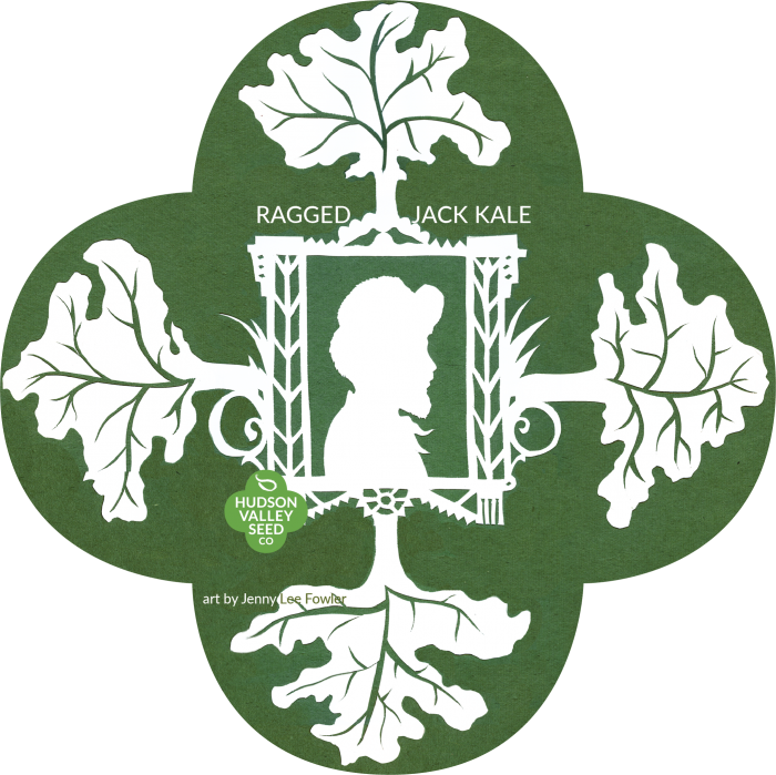 Download Ragged Jack Kale - Seed PNG Image with No Background - PNGkey.com