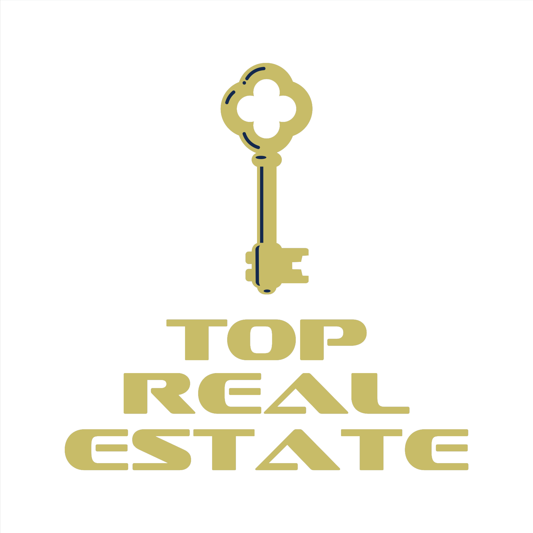 Download Top Real Estate Logo - Poster PNG Image with No Background ...