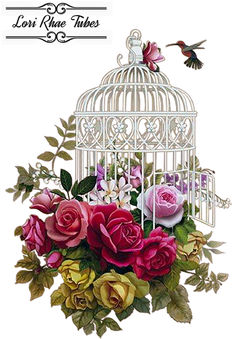 Download We Remind You That These Tubes Were Made For Educational ...