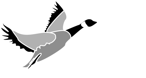 Grey Goose Graphics - Mallard - Free Transparent PNG Download - PNGkey