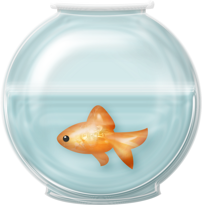 28 Collection Of Fish Bowl Clipart Free - Fish In Bowl Png - Free ...