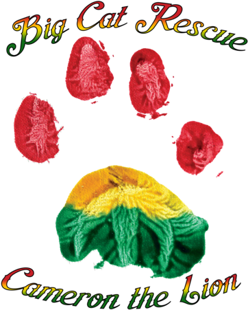 Download In Order To Offer A Wider Selection Of Merchandise, - Clothing ...