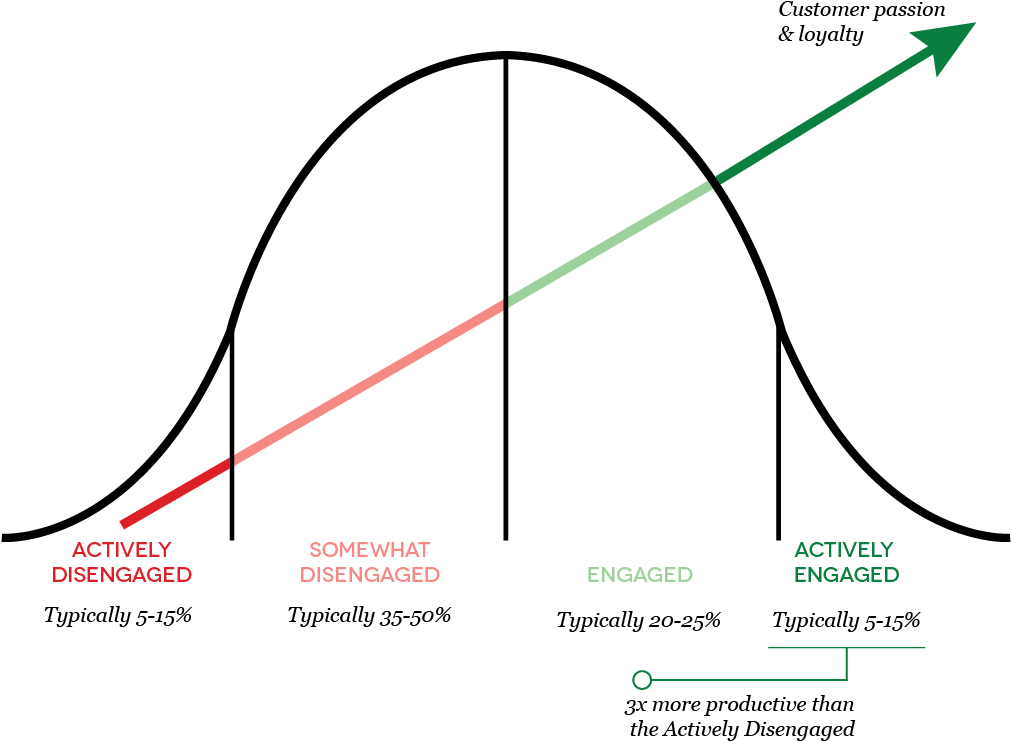 Download Four Levels Of Engagement - Diagram PNG Image with No ...