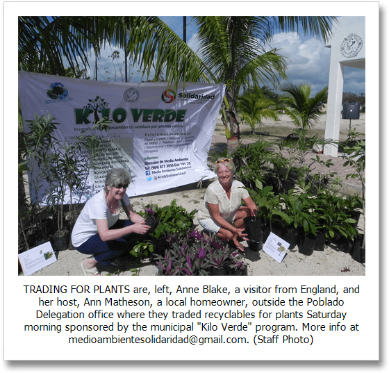 Download Briefly Noted - Flyer PNG Image with No Background - PNGkey.com