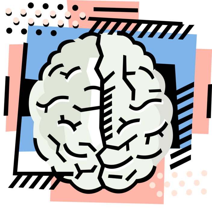 Download Vector Illustration Of The Human Brain - Brain PNG Image with ...