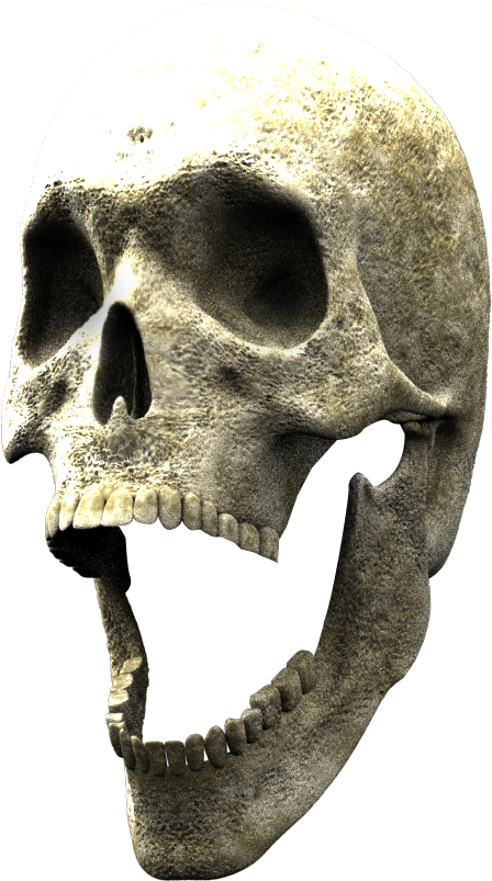 Download Here Is The 3d Skull To Finish Your Composite - Skull PNG ...