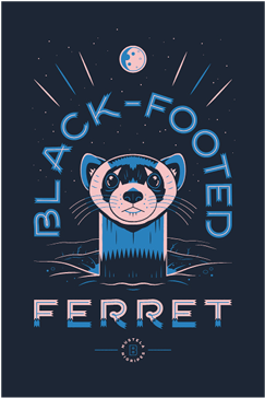 Download Jacob Etter - Portable Network Graphics PNG Image with No ...