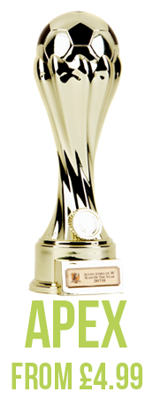 Download Apex Gold Trophy - Silver PNG Image with No Background ...