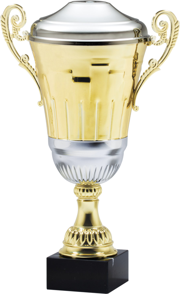 Download Gold Trophy - Jpeg PNG Image with No Background - PNGkey.com